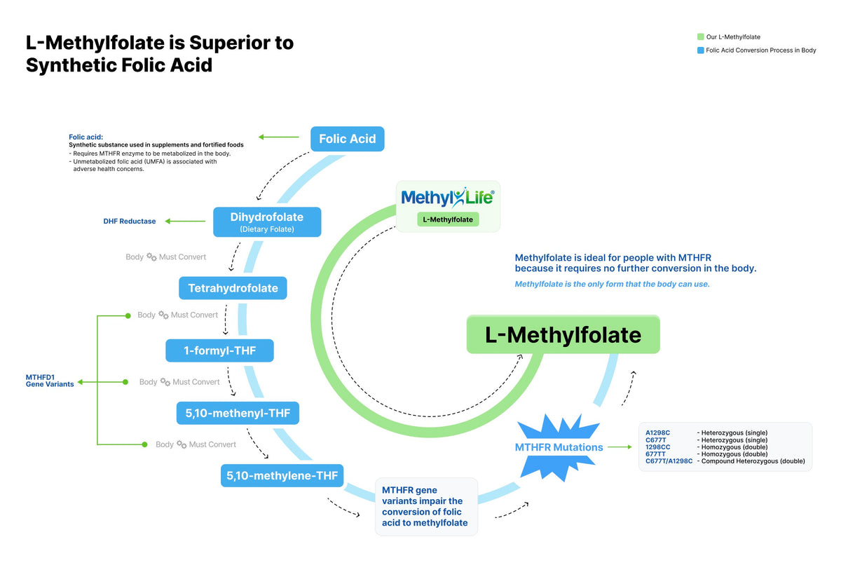 MTHFR Gene Mutation Treatment – Methyl-Life® Supplements
